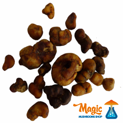 Your personal magic truffles dosage guide!